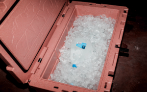 How to Make Ice Blocks for Coolers - 12 Best Methods